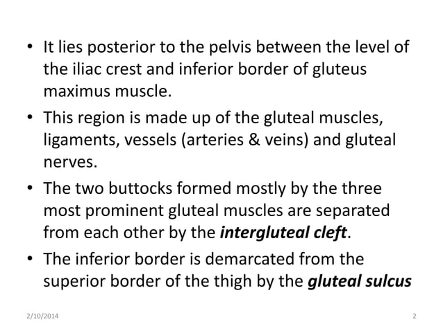 Gluteal region complete | PPTX