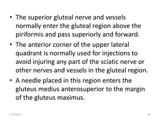 Gluteal region complete | PPTX
