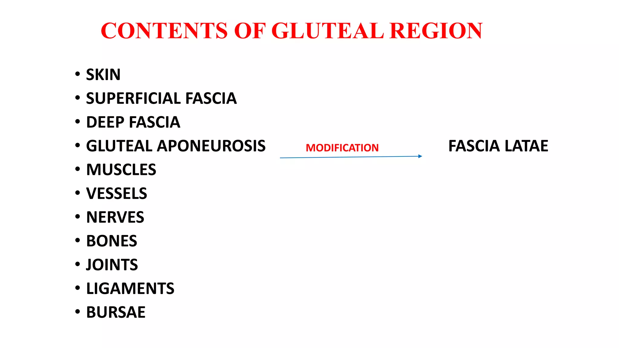 GLUTEAL REGION DR MONIKA SHARMA.pptx