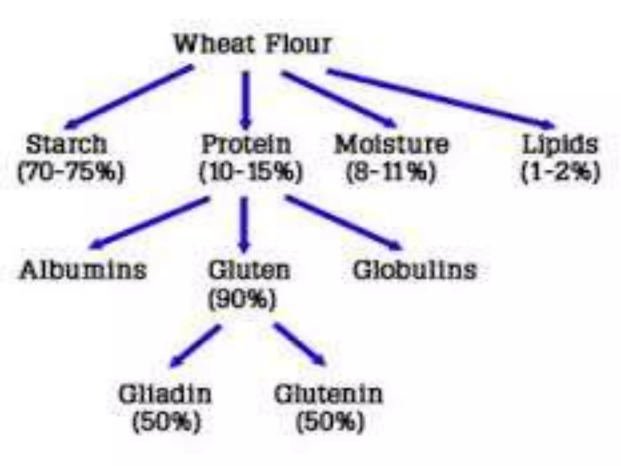 Gluten | PPTX