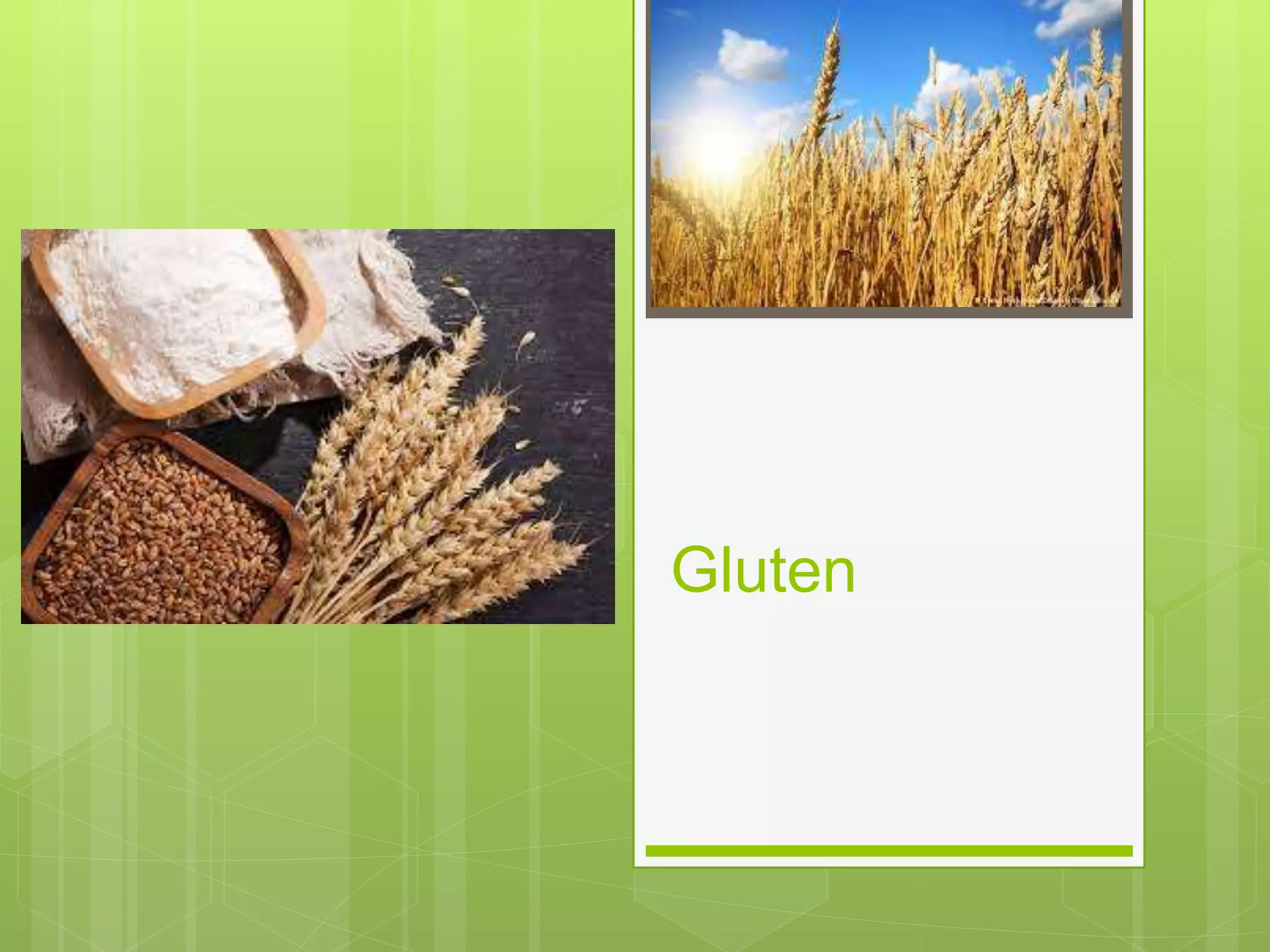 Gluten.pptx