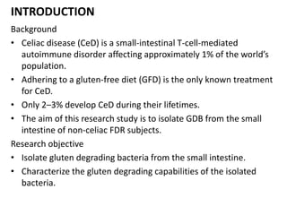 Gluten Degrading Bacteria based on reasearch paper.pptx