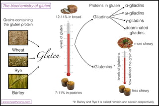 Is Gluten Intolerance real? | PDF