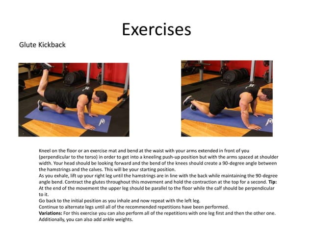Glutes | PPTX | Physical Therapy | Wellness