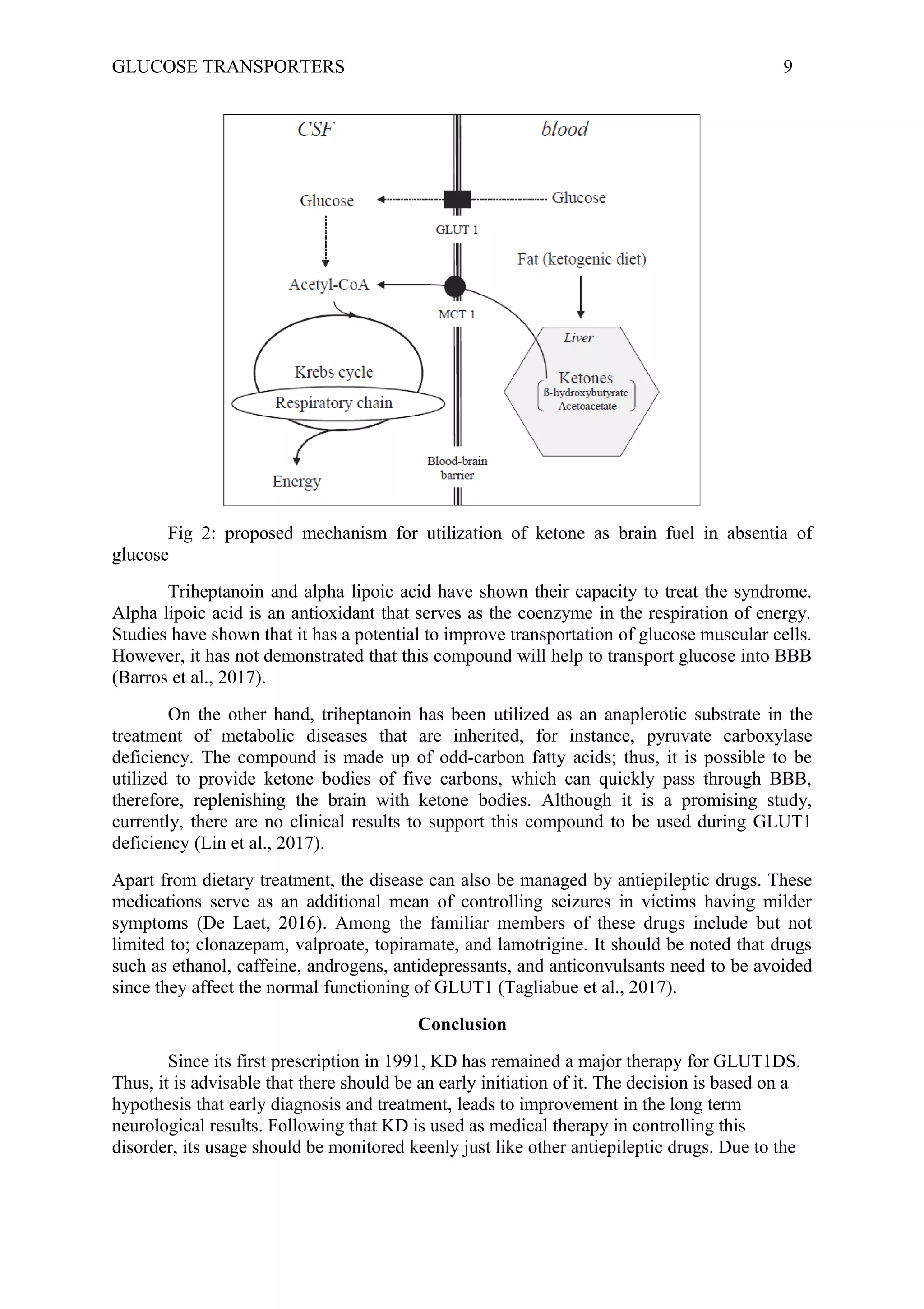Gluts transporters | DOC