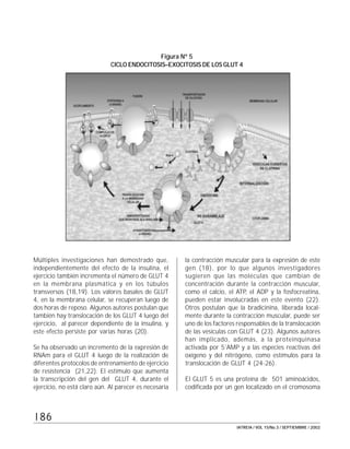 Gluts | PDF