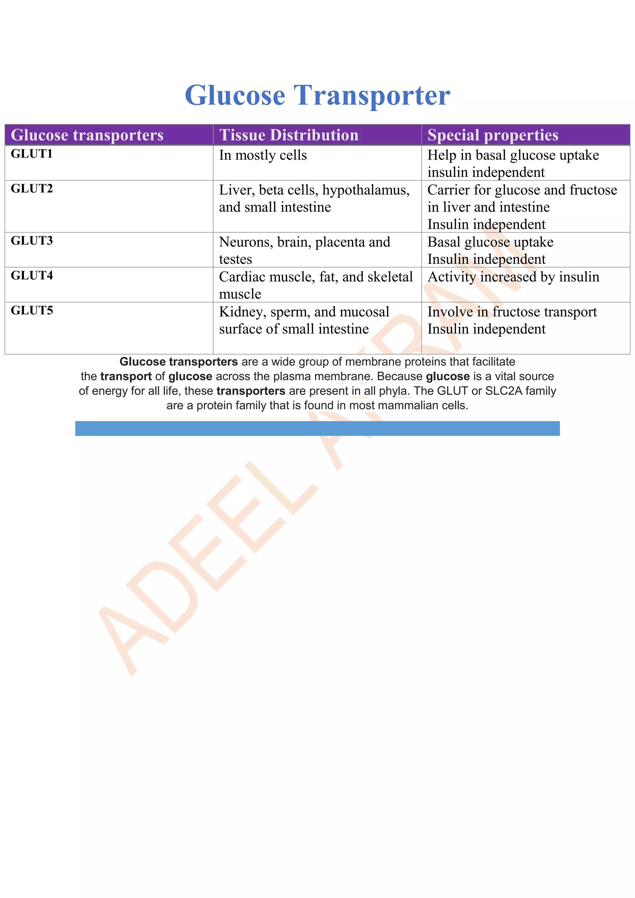 Glutes for glucose transporters | PDF