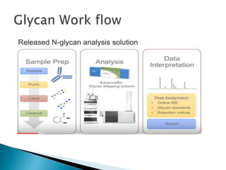 Glycan analysis of mAb’s_Introduction | PPTX | Chemistry | Science