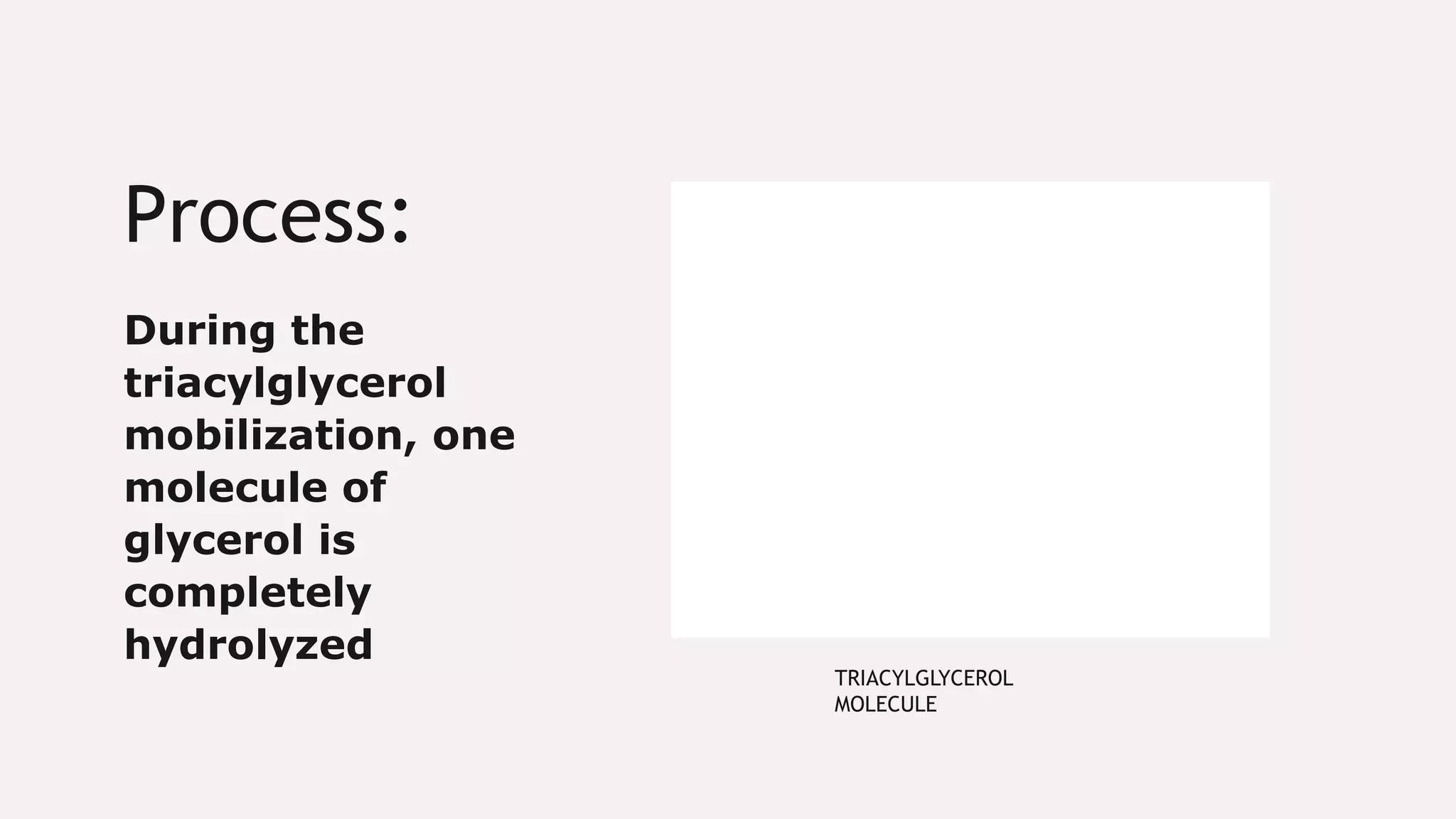 GLYCEROL-METABOLISM-1.pptx