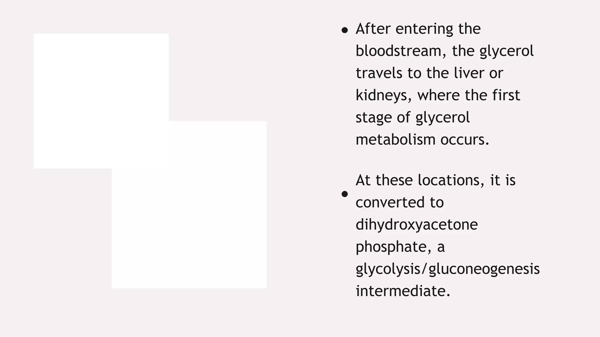 GLYCEROL-METABOLISM-1.pptx