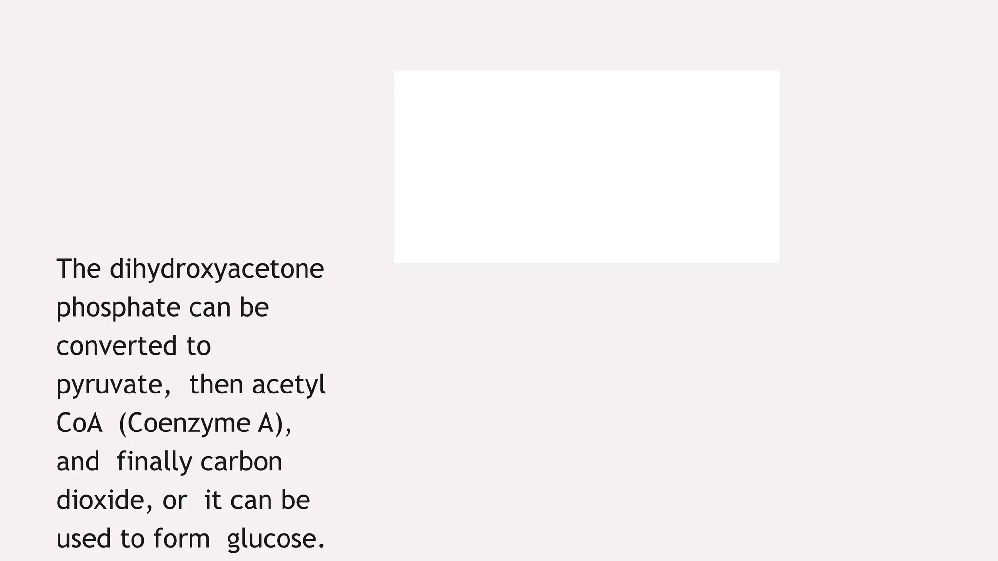 GLYCEROL-METABOLISM-1.pptx