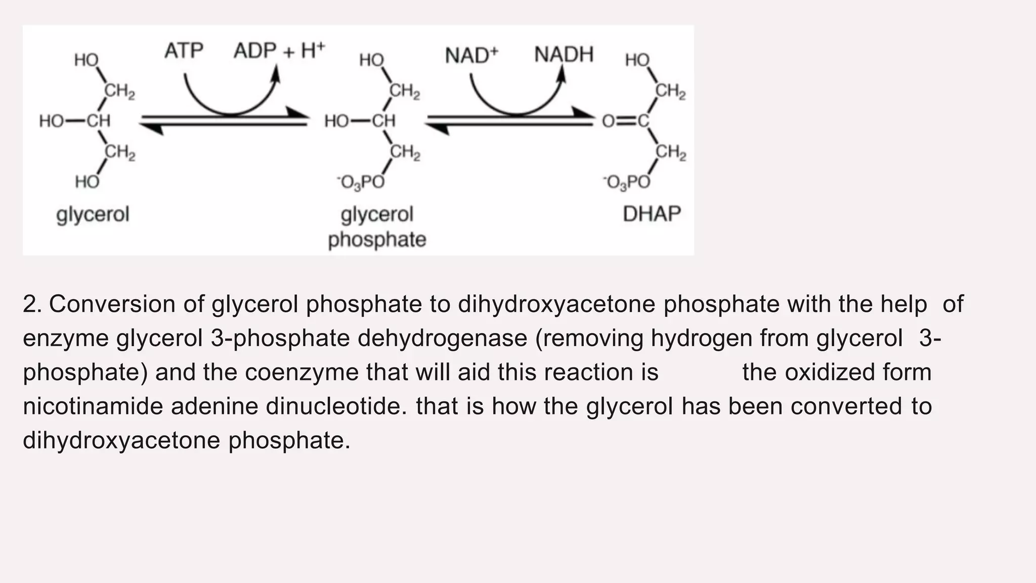 GLYCEROL-METABOLISM-1.pptx