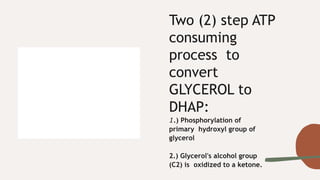 GLYCEROL-METABOLISM-1.pptx