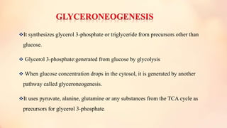 Glyceroneogenesis | PPTX