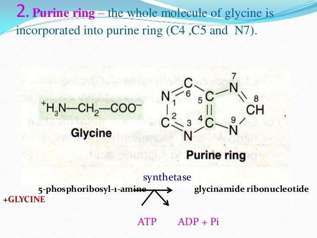 Glycinamidine