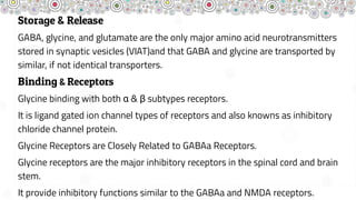 Glycine Neurotransmitter | PDF