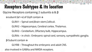 Glycine Neurotransmitter | PDF