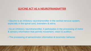 Glycine's role as a neurotransmitter is highlighted in particular. | PPTX