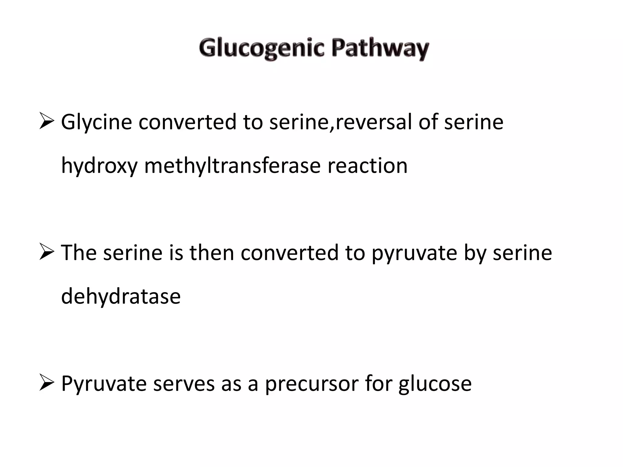 glycine-metabolism.ppt