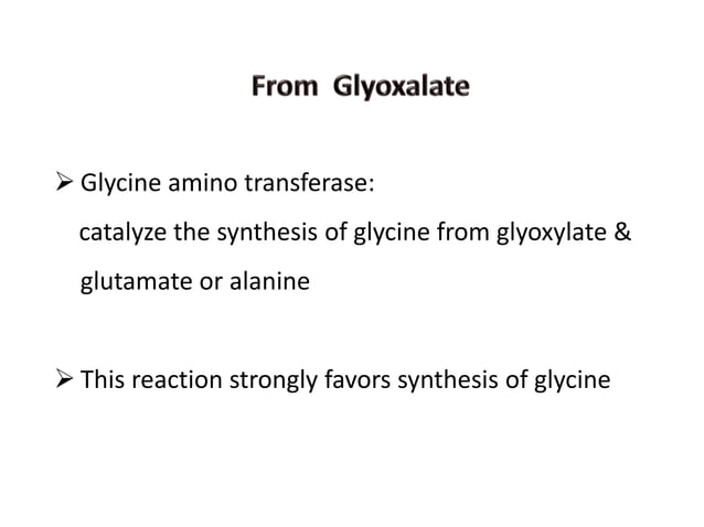 glycine-metabolism.ppt
