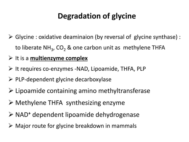 glycine-metabolism.ppt