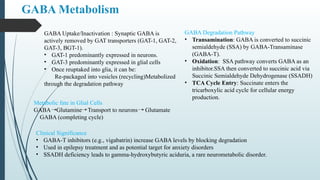 GLYCINE GABA GLUTAMATE - CNS Neurotransmitters | PPTX