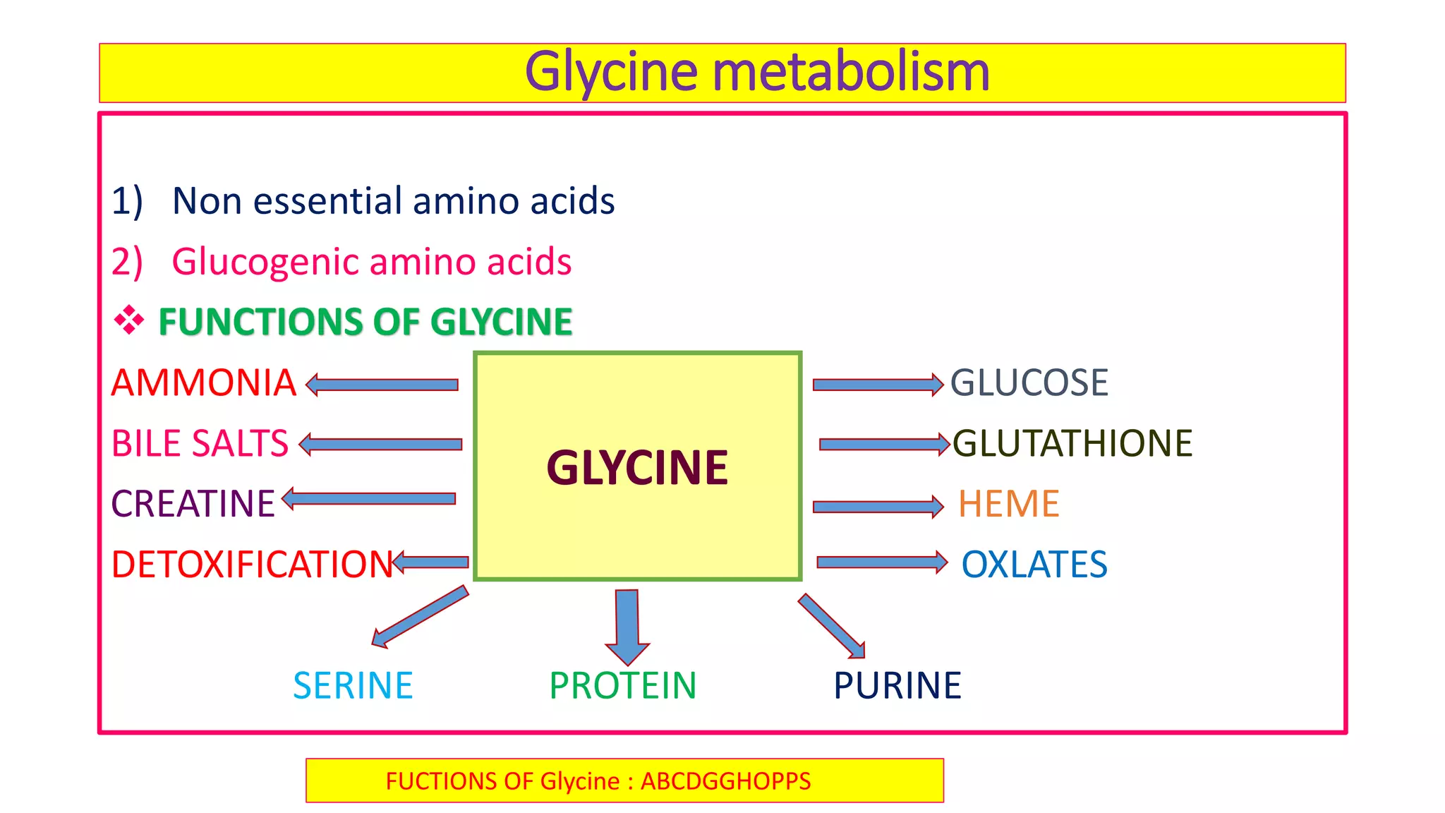 Glycine metabolism & its clinical significance | PDF