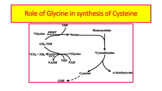 Glycine metabolism & its clinical significance | PDF