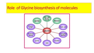 Glycine metabolism & its clinical significance | PDF