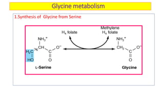 Glycine metabolism & its clinical significance | PDF