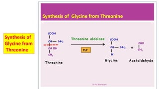 Glycine metabolism & its clinical significance | PDF