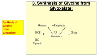Glycine metabolism & its clinical significance | PDF