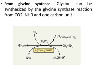 GLYCINE METABOLISM.pptxnnnnnnnnnmmmmmmmm | PPTX