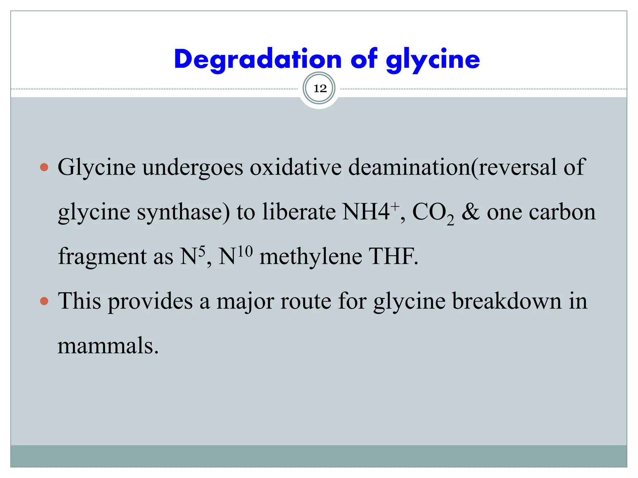 Glycine metabolism and specialised products of amino acids | PPTX
