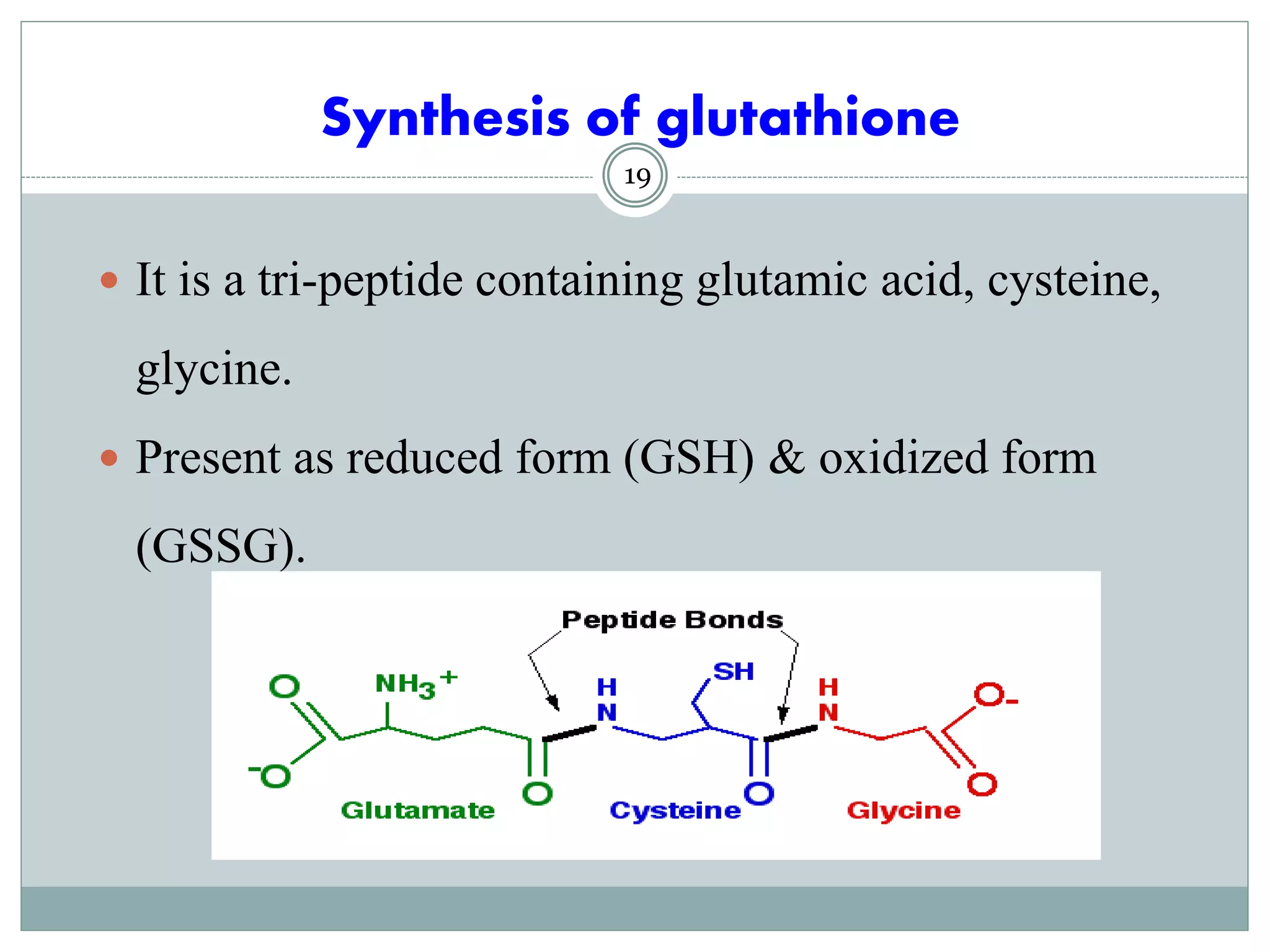 Glycine metabolism and specialised products of amino acids | PPTX