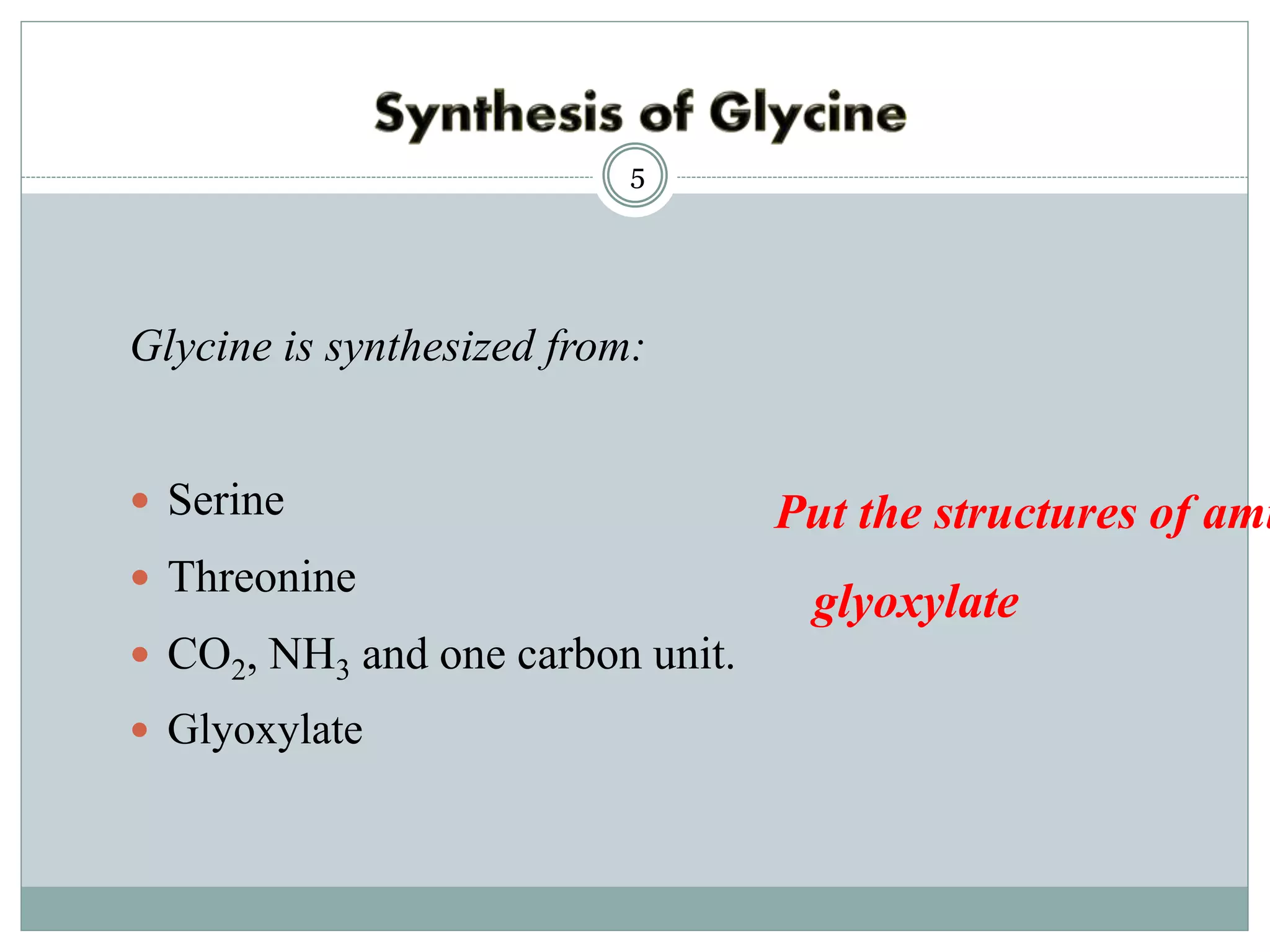 Glycine metabolism and specialised products of amino acids | PPTX