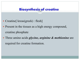 Glycine metabolism and specialised products of amino acids | PPT