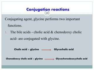 Glycine metabolism and specialised products of amino acids | PPT