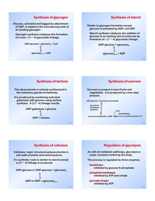 Glyco | PDF