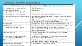 glyco.pptx