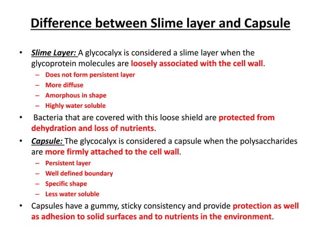 Glycocalyx capsule an brief overview.pdf