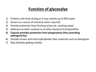 Glycocalyx capsule an brief overview.pdf