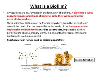 Glycocalyx capsule an brief overview.pdf