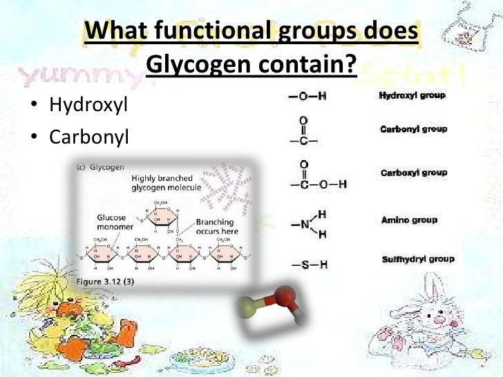 Glycogen