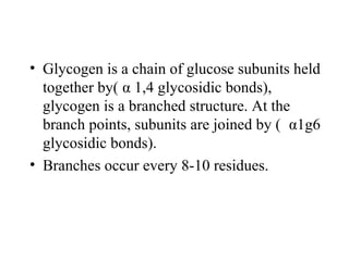 Glycogen Metabolism | PPT