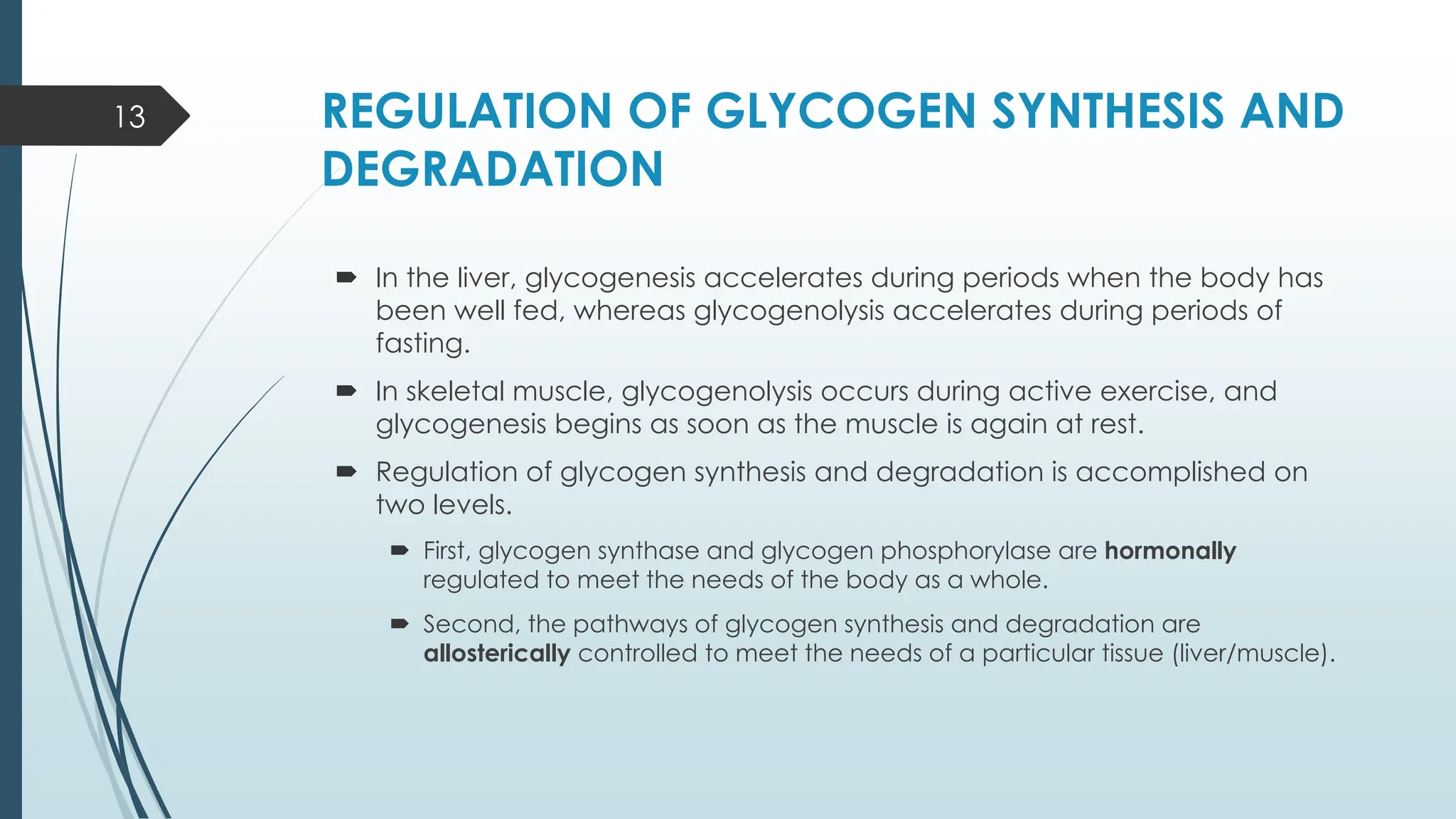 Glycogen regulation and its metabolism .pdf