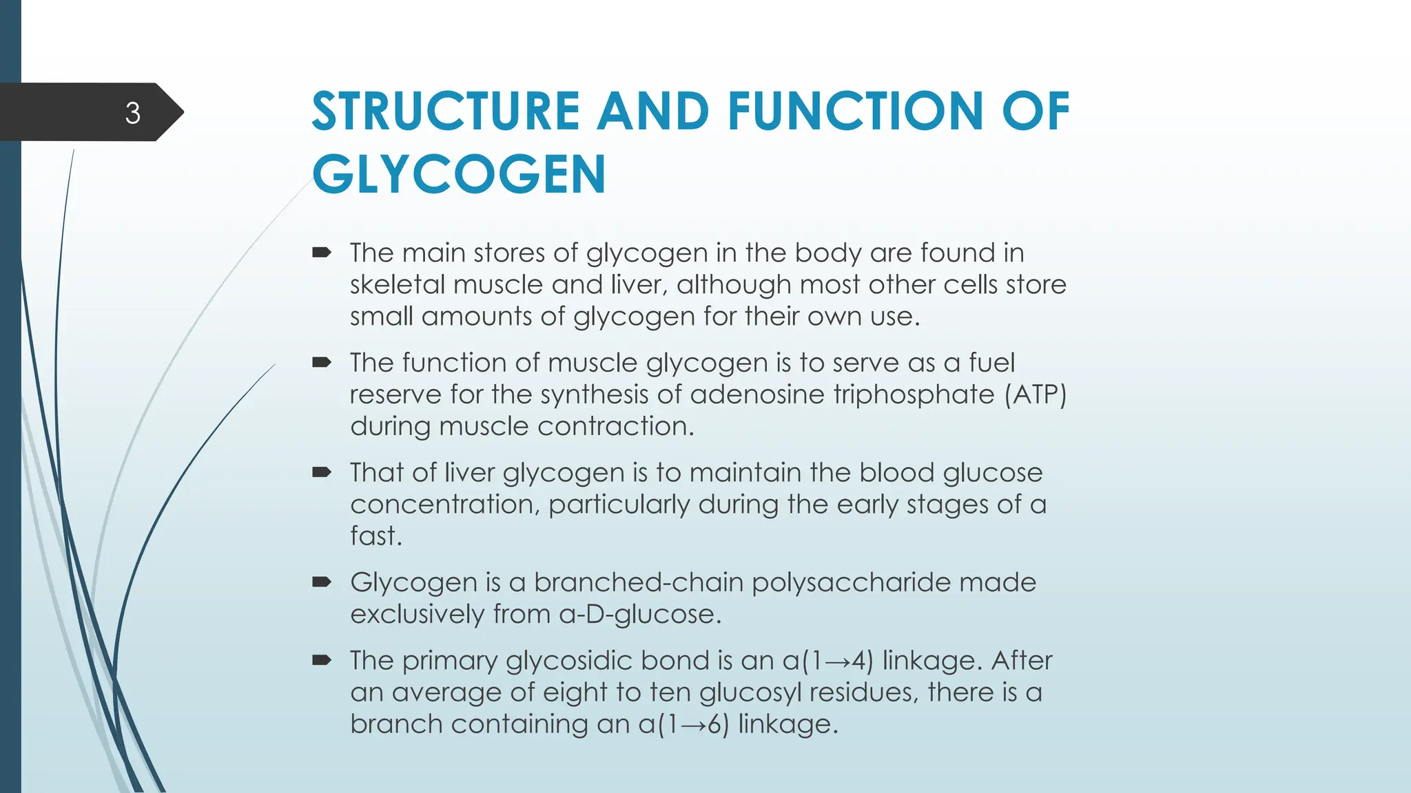 Glycogen regulation and its metabolism .pdf