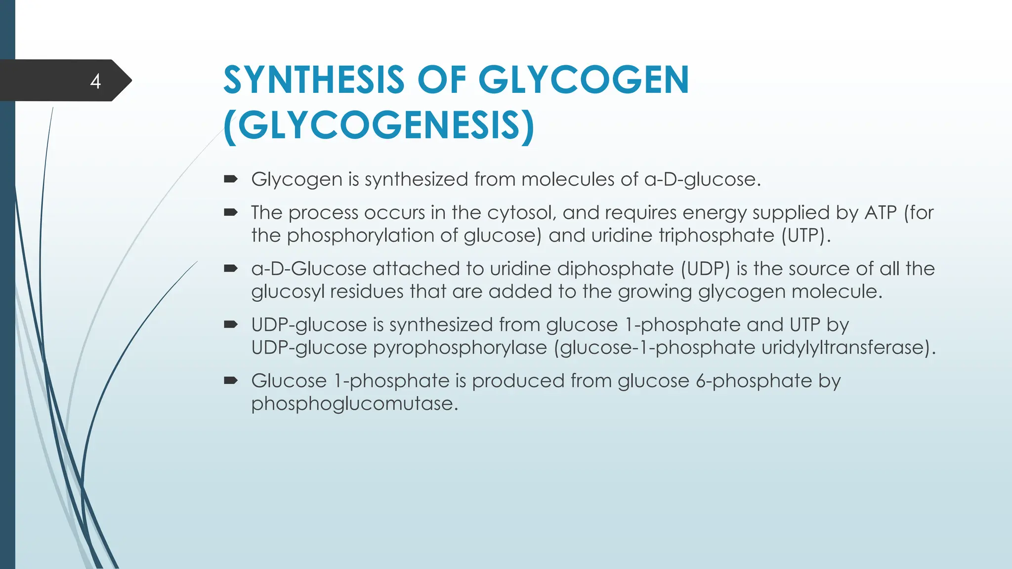 Glycogen regulation and its metabolism .pdf