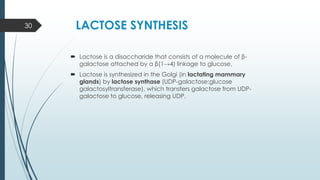 Glycogen regulation and its metabolism .pdf