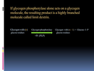 Glycogen.pptx ffffffffffffffffffffffffffffffff | PPTX